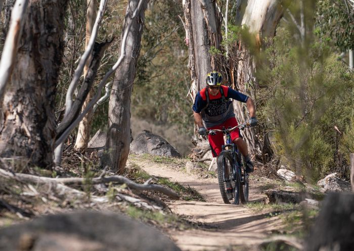 A budget ski trip to the Snowy Mountains | Visit NSW